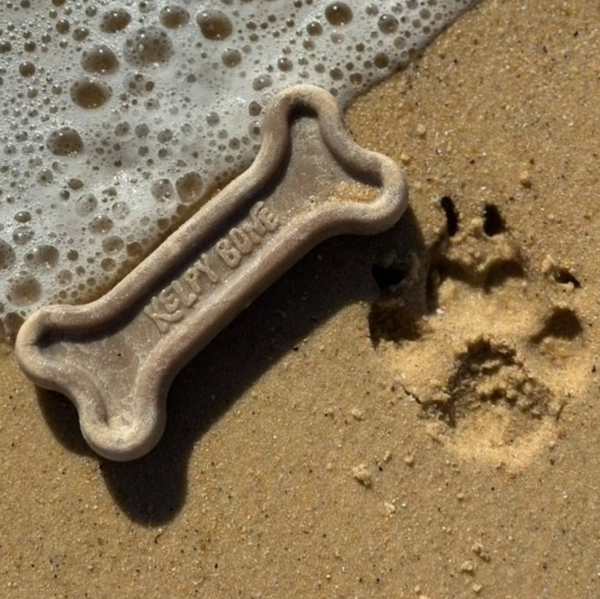 Natural Seaweed Dog Bone - Kelpy Bone – Barke. Collection